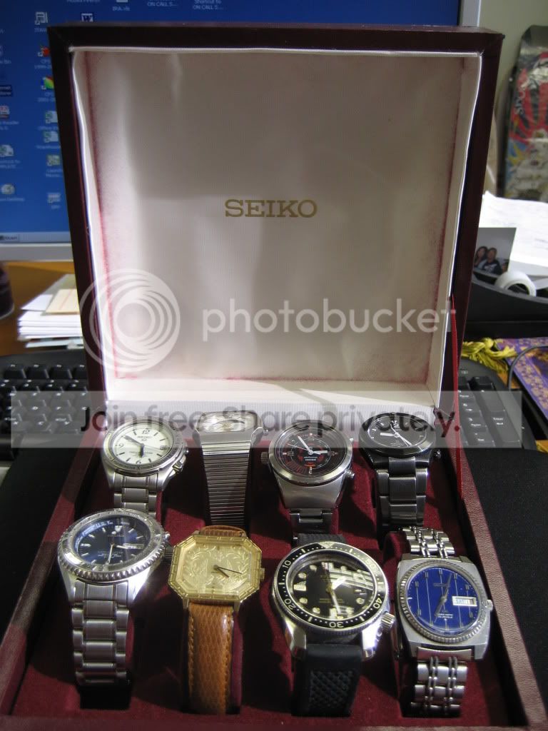 My Box of Seiko Watches | The Watch Site
